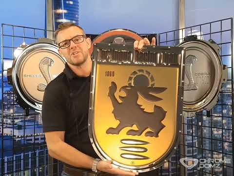 Chrome Domz: Premium Metal Wall Art Decor | Metal Logo Sign