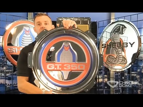Chrome Domz: Premium Metal Wall Art Decor | Metal Logo Sign